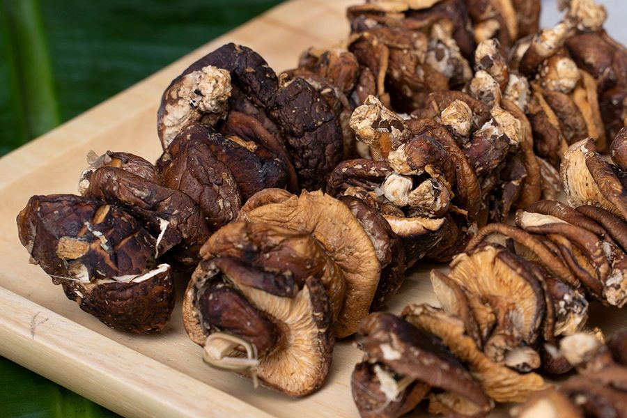 All Famous & Untouched Vietnam Destinations - Vietnam Holidays