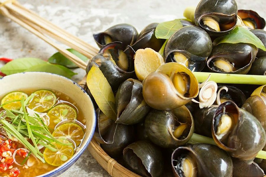 All Famous & Untouched Vietnam Destinations - Vietnam Holidays